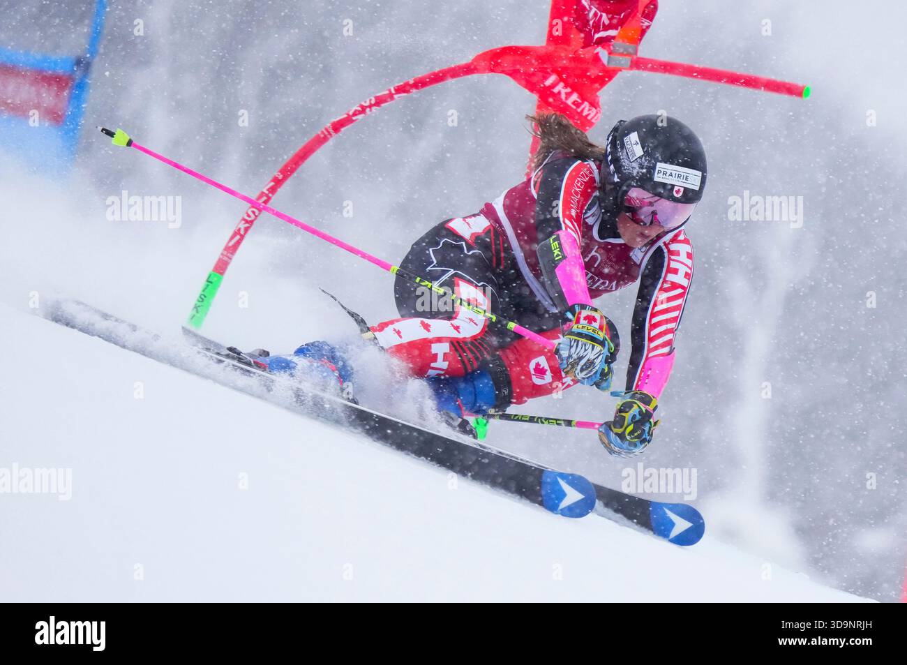 Britt Richardson of Canada speeds down the course as she races in the ...