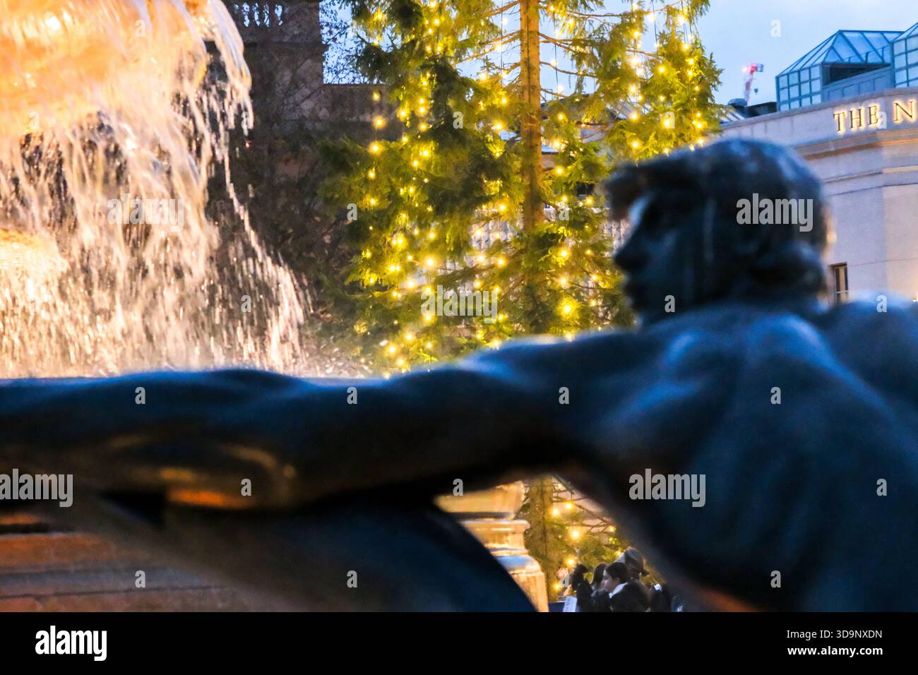 Trafalgar Square, London, UK. 6th Dec 2025. The Trafalgar Square Christmas Tree. Credit: Matthew ...