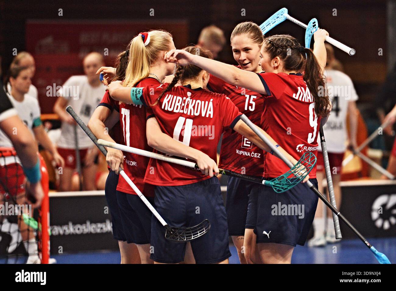 Czech players celebrate a goal during the Women's World Floorball ...