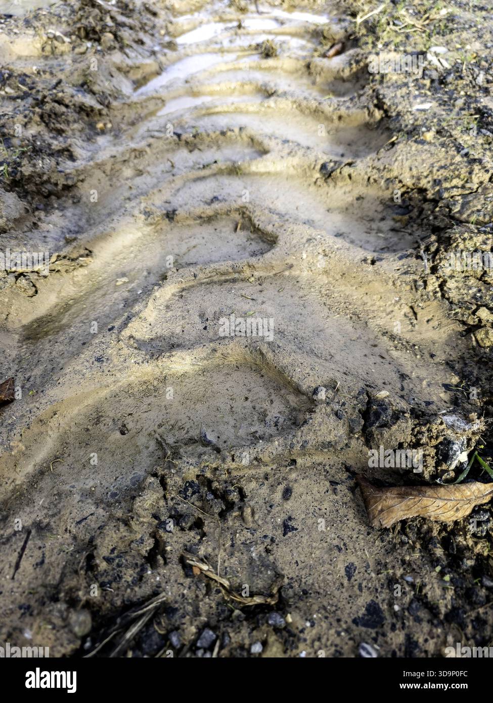 Detail of tire marks in mud, off-road Stock Photo - Alamy