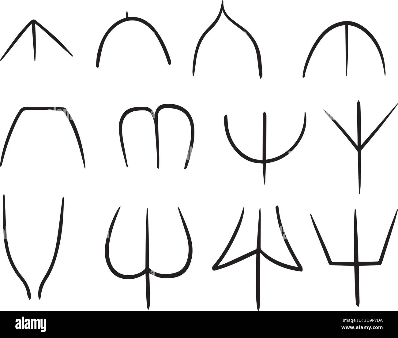 Vector isolated illustration leaf types by base shape Stock Vector ...