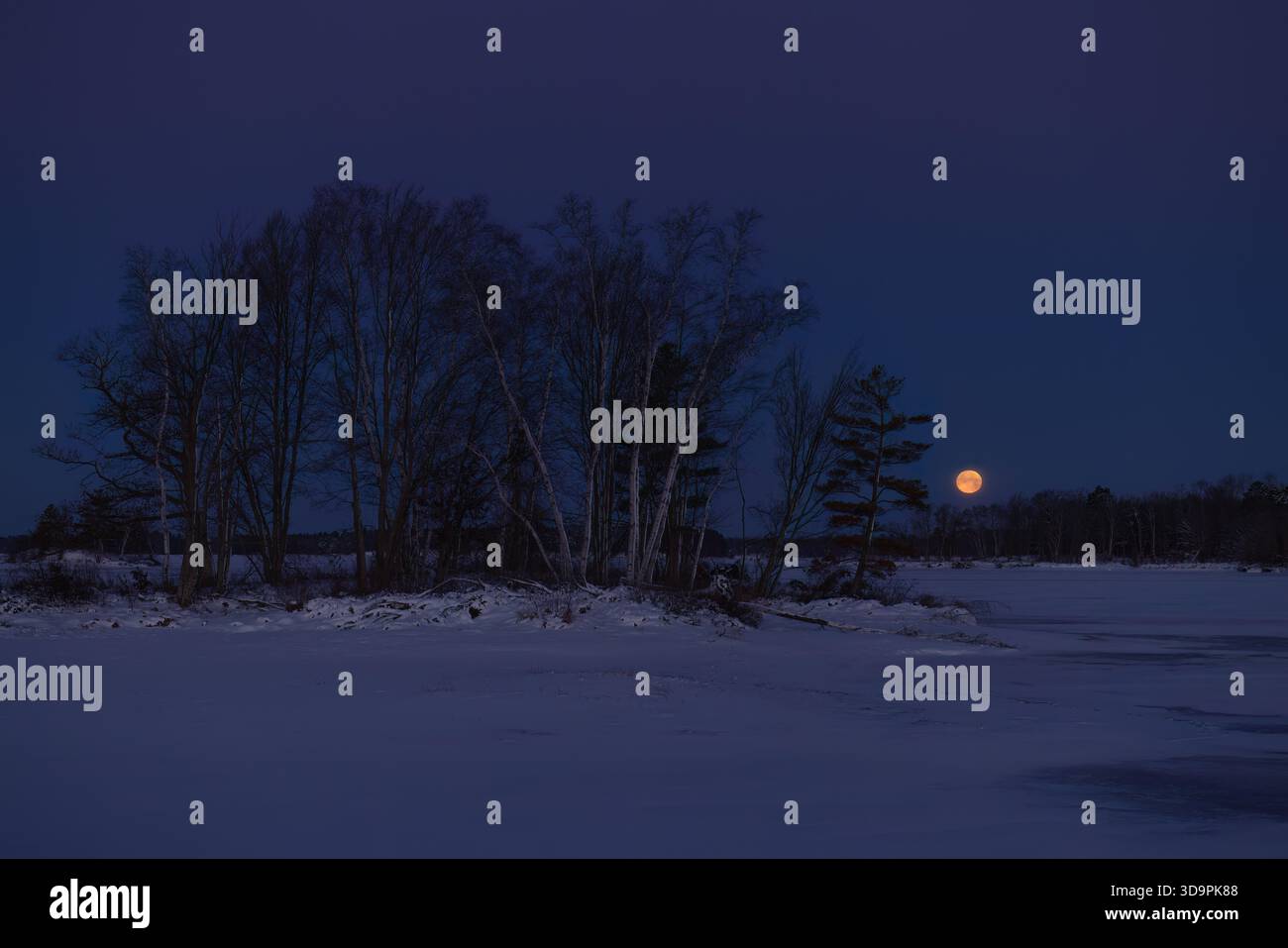 The full moon setting over an island on the Chippewa Flowage in ...
