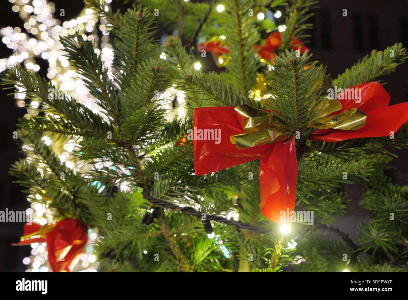 06.12.2025, Berlin - Deutschland. Mit Schleife geschmückter Tannenbaum ...