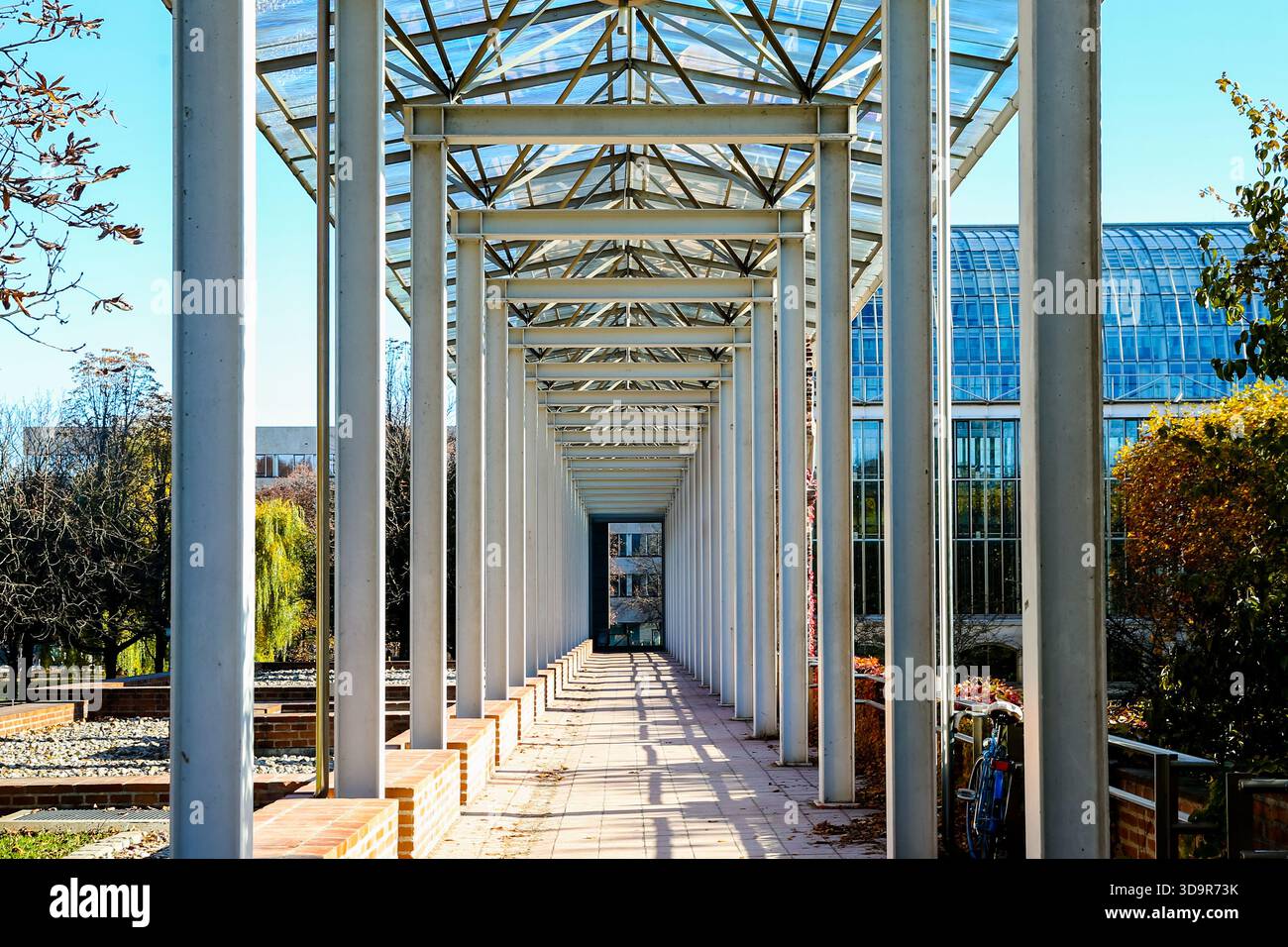 Repetitive steel roof trusses create a geometric architectural pattern ...