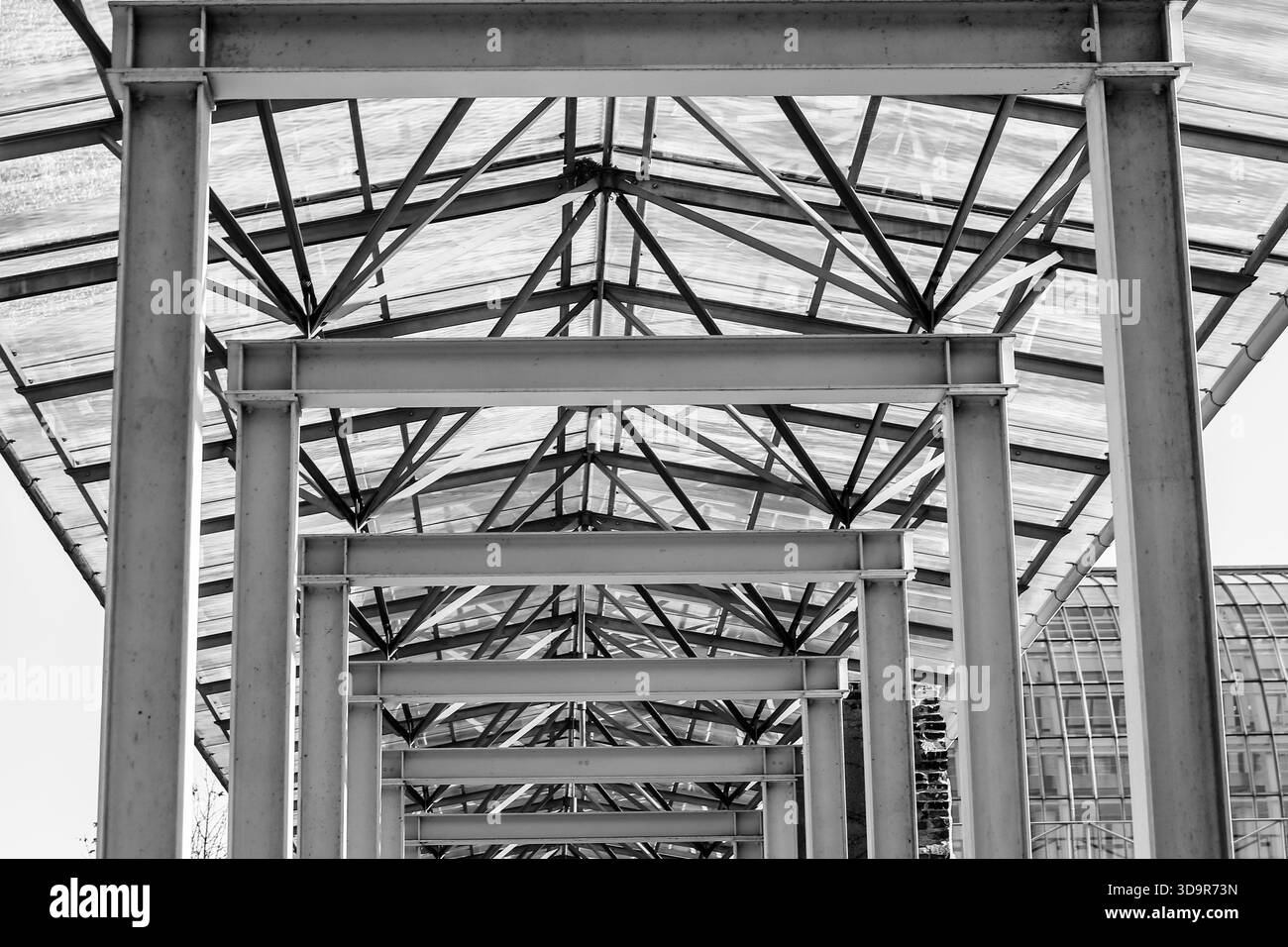 Repetitive steel roof trusses create a geometric architectural pattern ...