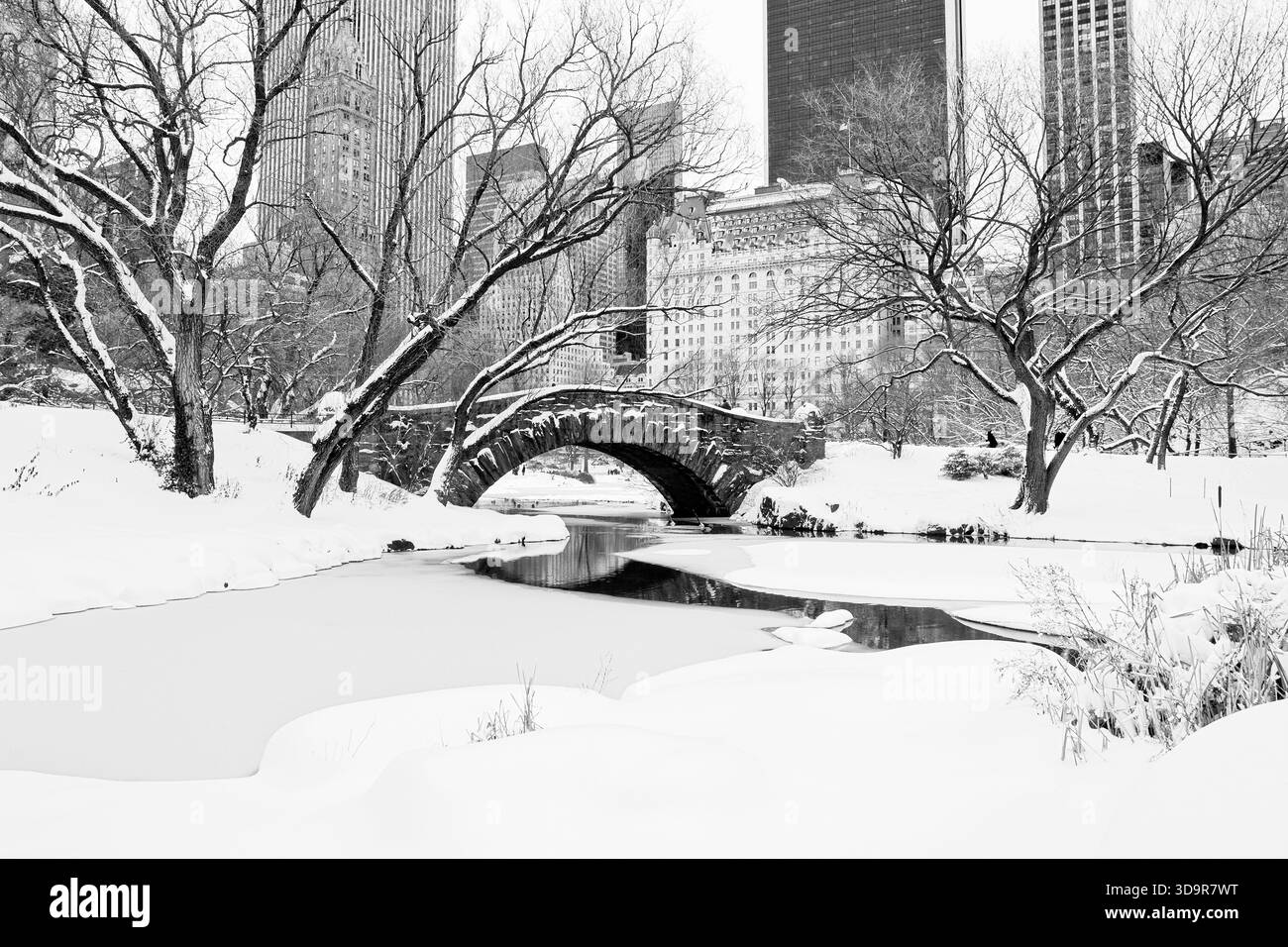 Central Park in Winter Snow with the Plaza Hotel New York City Stock ...