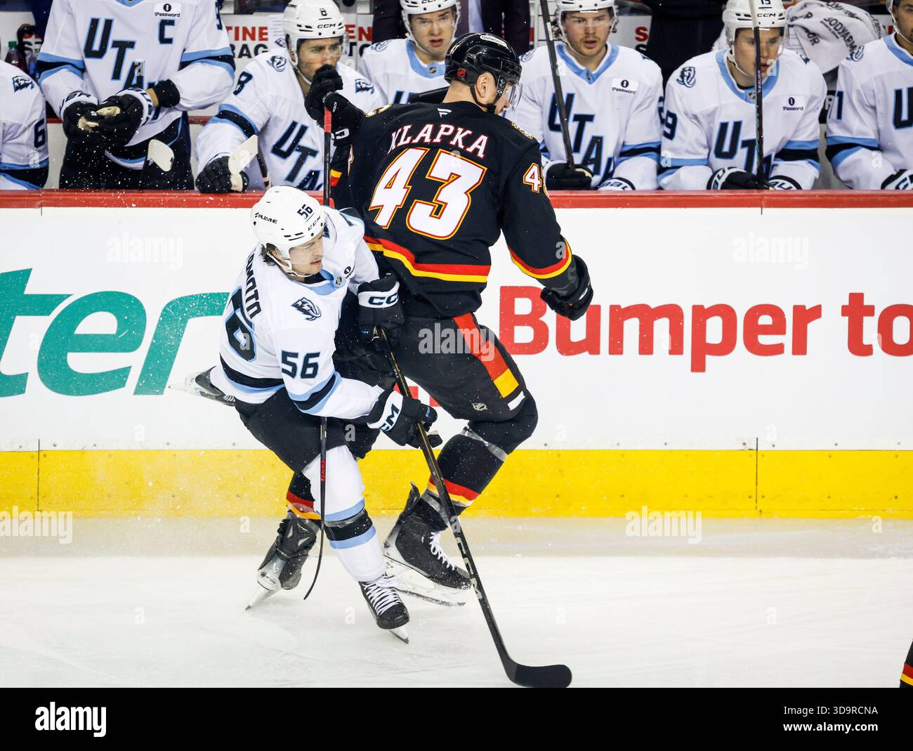 Utah Mammoth's Kailer Yamamoto, left, is checked by Calgary Flames' Adam Klapka (43) during ...