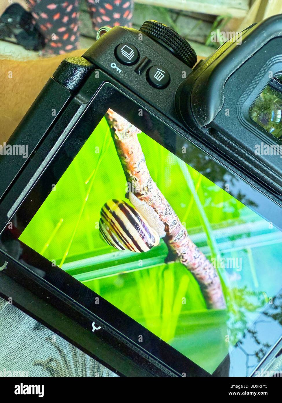 Slow camera zoom in on hi-res stock photography and images - Alamy