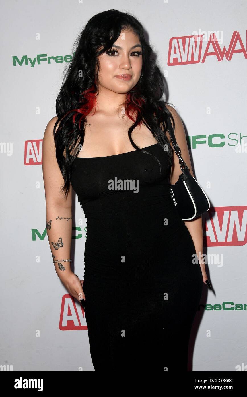 Adult Film Actress Raven Starr attends the 2026 AVN Nominations Party ...