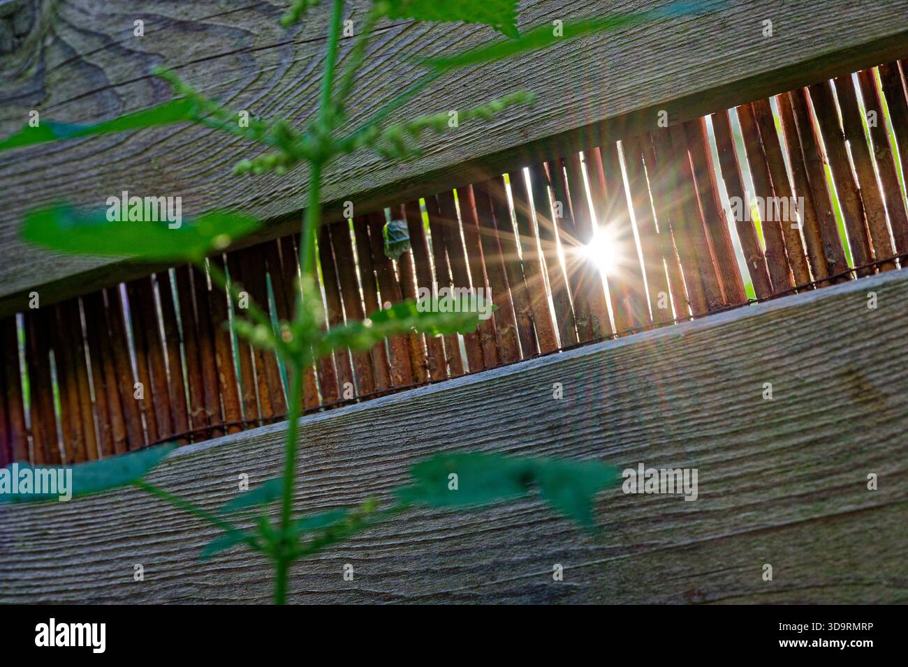 Light draws lines on screen hi-res stock photography and images - Alamy
