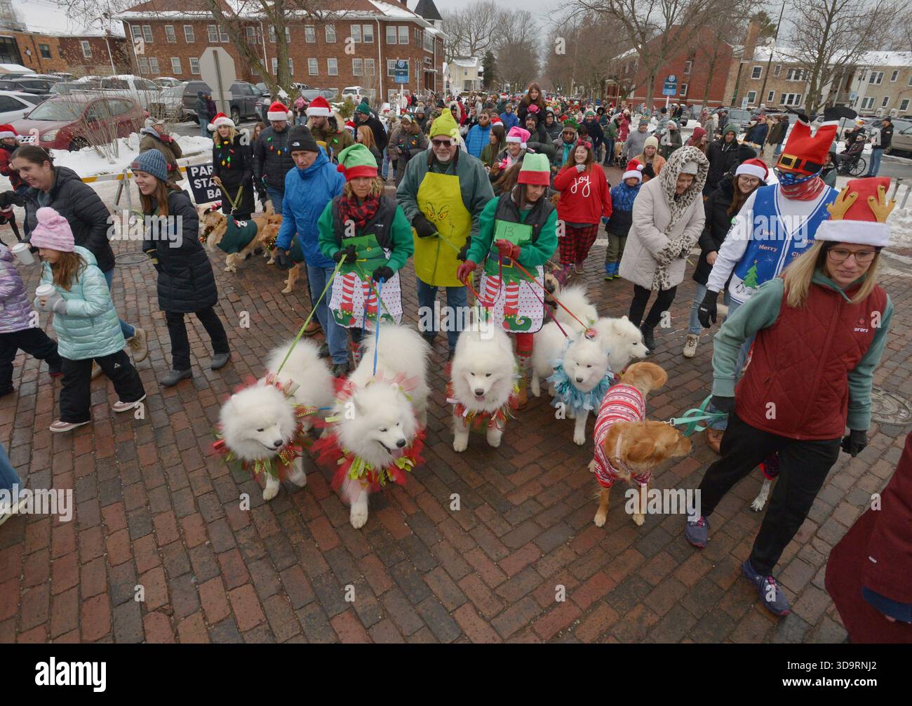 Dogs and their owners parade through downtown St. Joseph, Mich., during ...