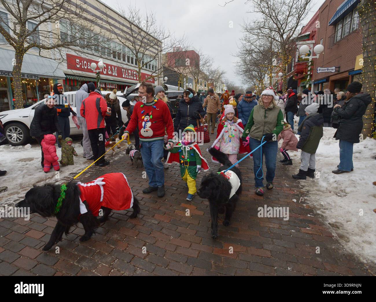 Dogs and their owners parade through downtown St. Joseph, Mich., during ...