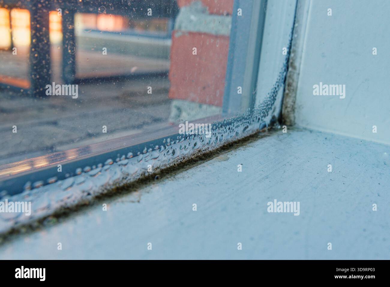 Close up of condensation and mold on window interior showing moisture ...