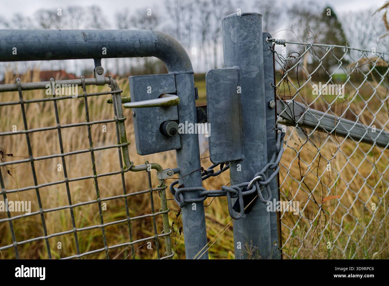 A small metal gate hangs beside a post on a mesh fence. A loose chain ...