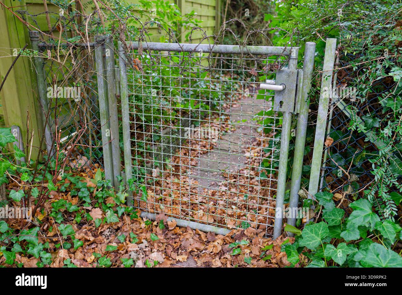 Wire mesh top stands hi-res stock photography and images - Alamy