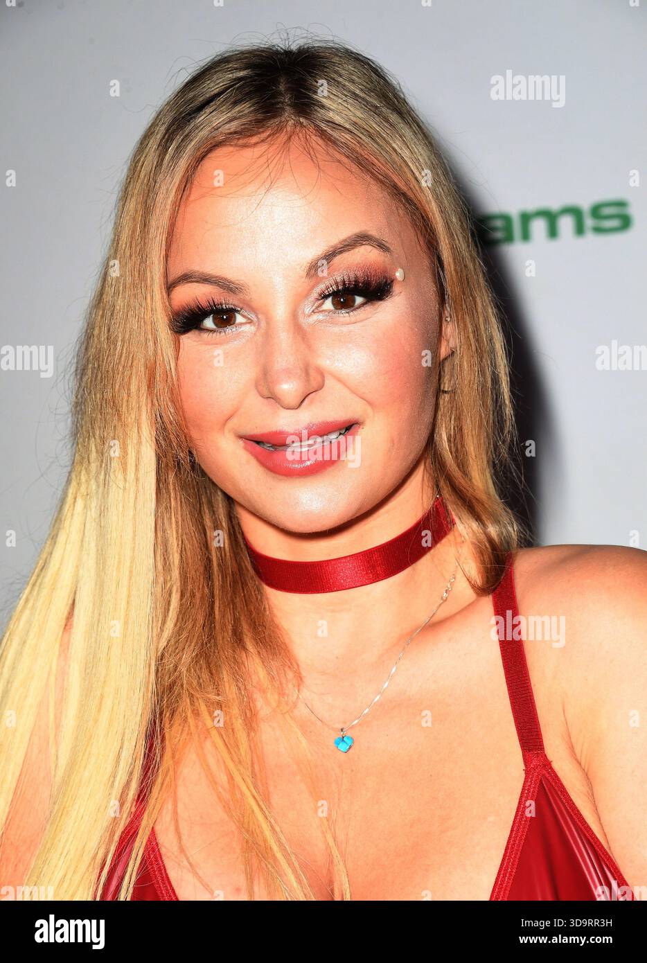 Adult Film Actress Katalina Kyle attends the 2026 AVN Nominations Party ...