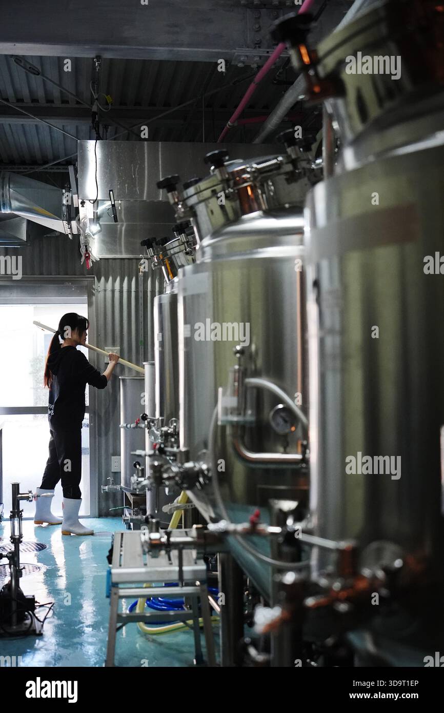 Craft beer is produced by staffs at a brewery in Katano City, Osaka ...