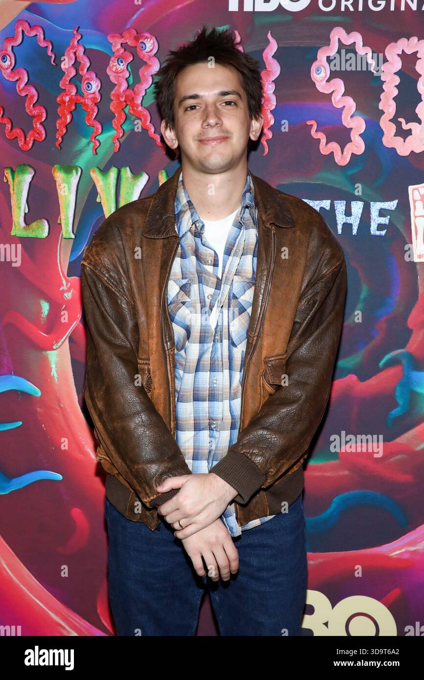 Comedian Andrew Dismukes attends the premiere of HBO's "Sarah Squirm ...