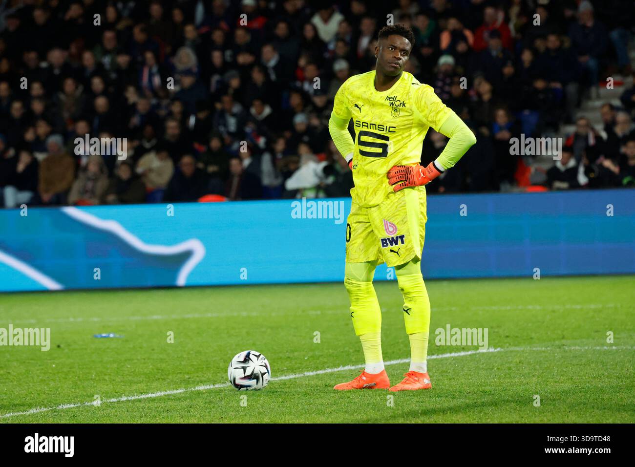 Brice samba rennes hi-res stock photography and images - Alamy