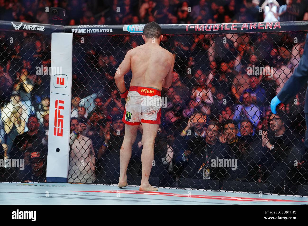 LAS VEGAS, NV - DECEMBER 6:Merab Dvalishivili and Petr Yan meet in the ...