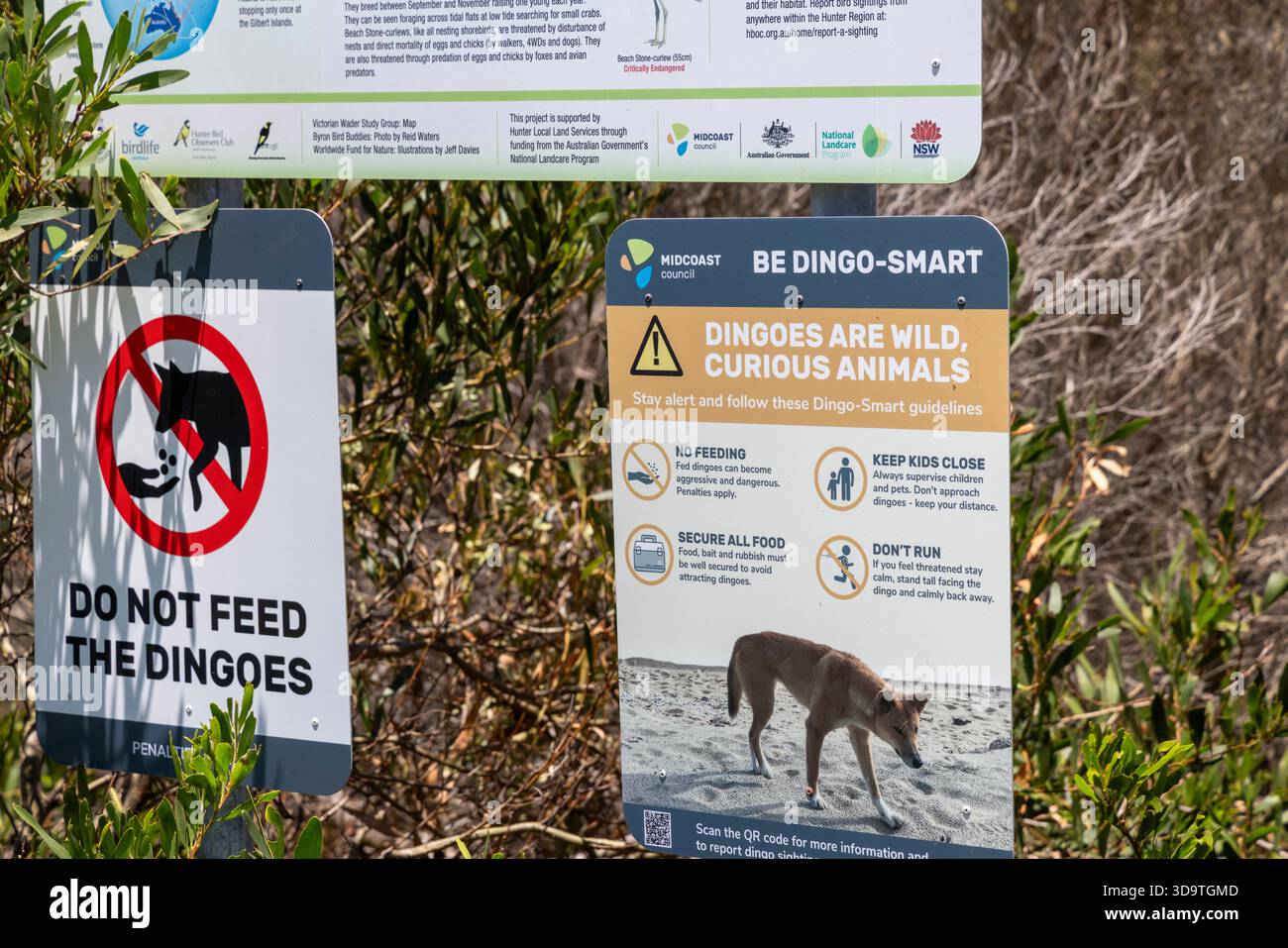 Dingoes, NSW,Australia, warning signs not to feed wild dingoes erected ...