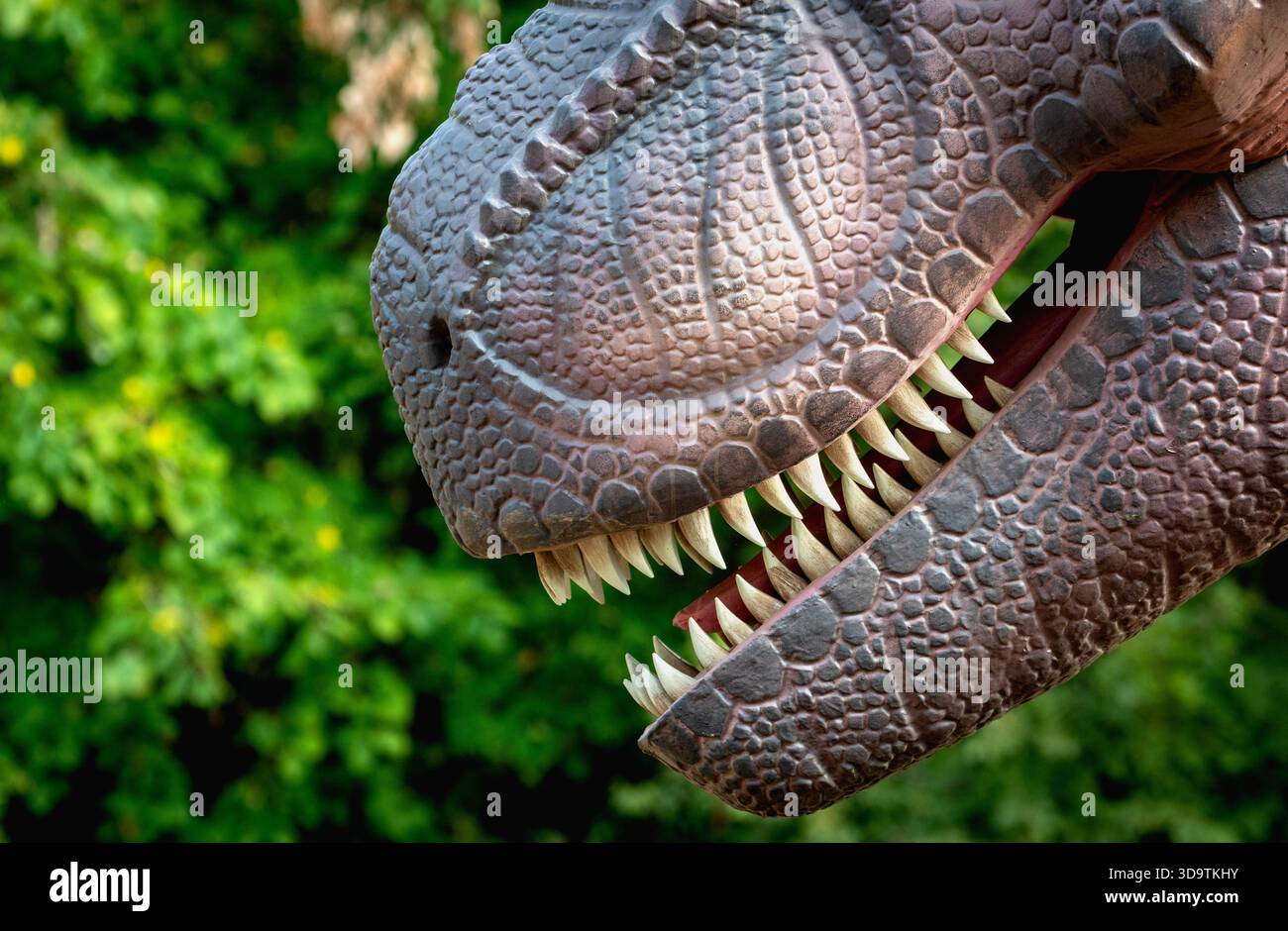 Primal Bite. T Rex Stock Photo - Alamy