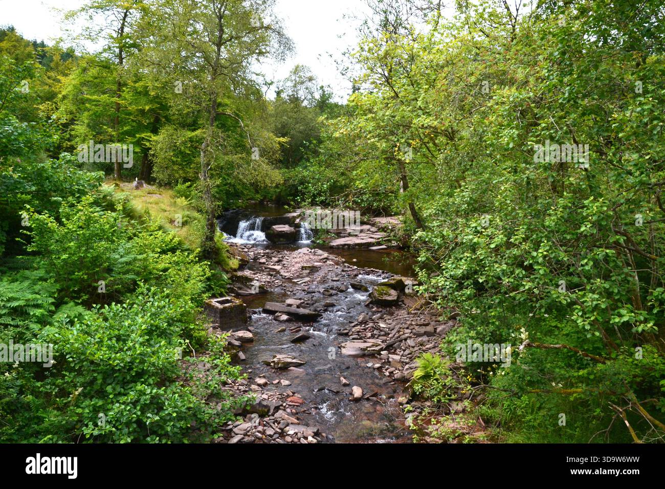 Taf Fechan Nature Reserve River Walk, Circular trail Stock Photo - Alamy