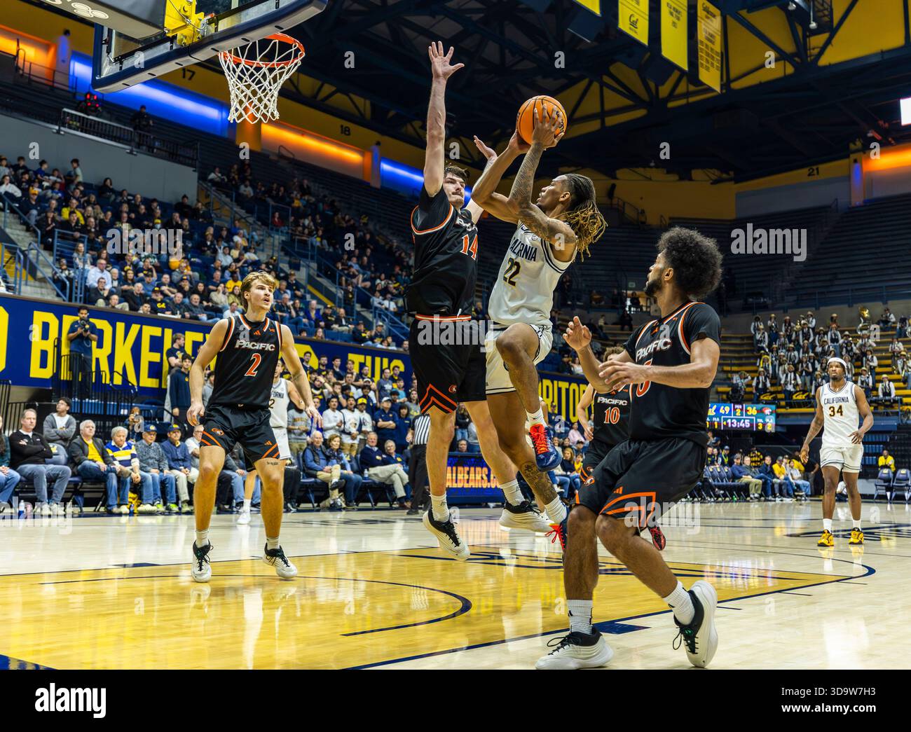 December 06 2025 Berkeley, CA U.S.A. California forward Chris Bell (22 ...