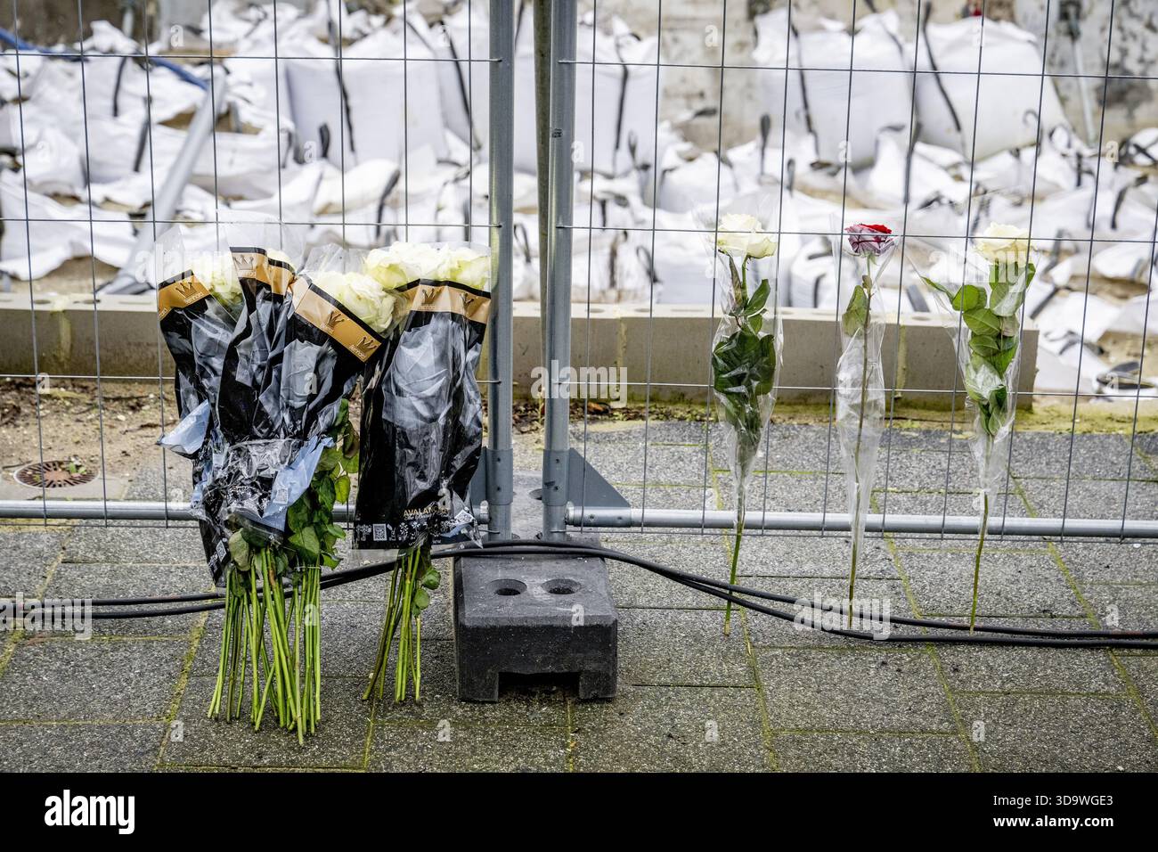 THE HAGUE – The deadly explosion at Tarwekamp is being commemorated in ...