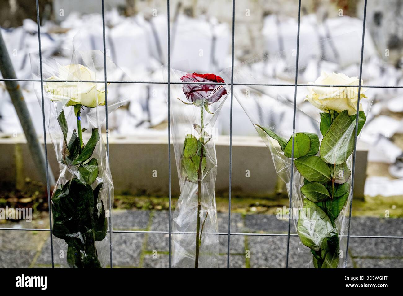 THE HAGUE – The deadly explosion at Tarwekamp is being commemorated in ...