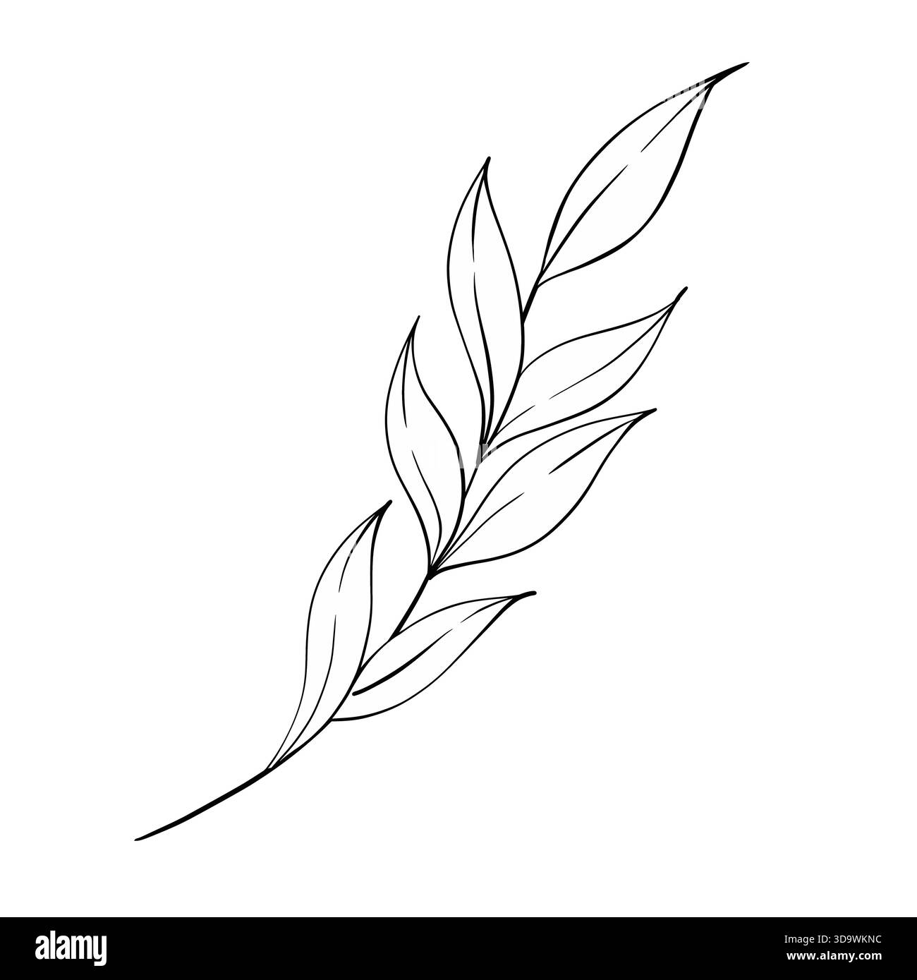 Elongated branch Black and White Stock Photos & Images - Alamy