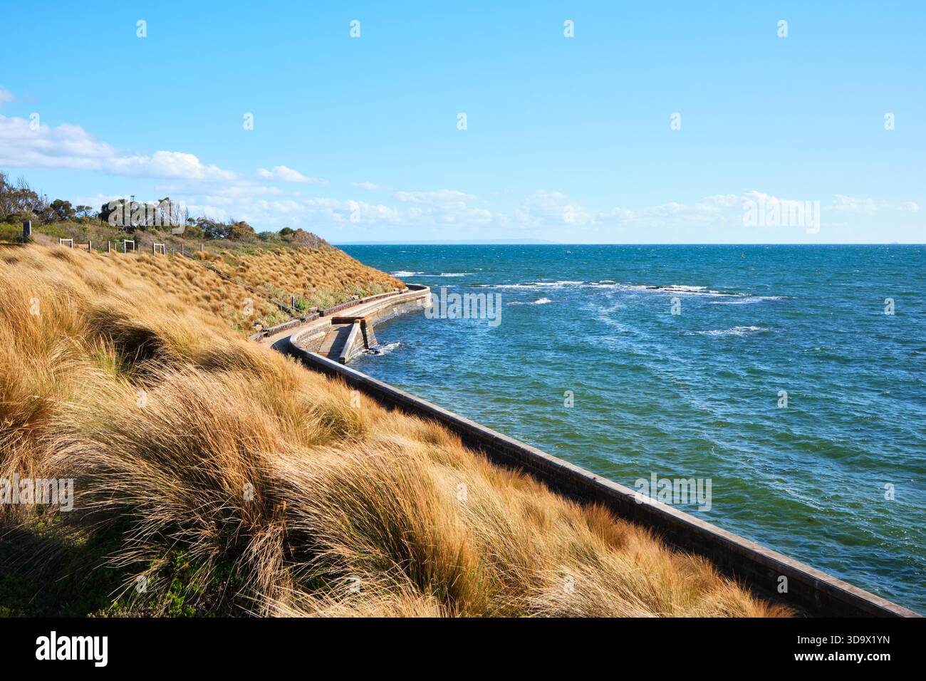 Native grasses bending in the wind above a path and sea wall between ...