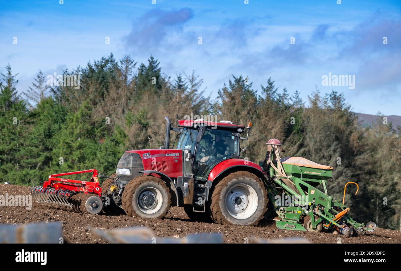 Farmer ploughing drilling crop of barley into freshly ploughed ...