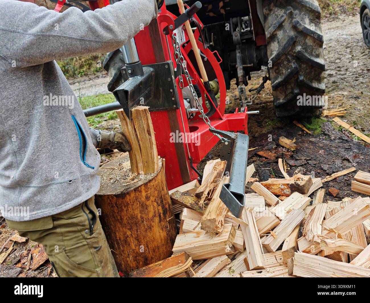 splitting of wood in the forest, timber industry and forestry wood ...