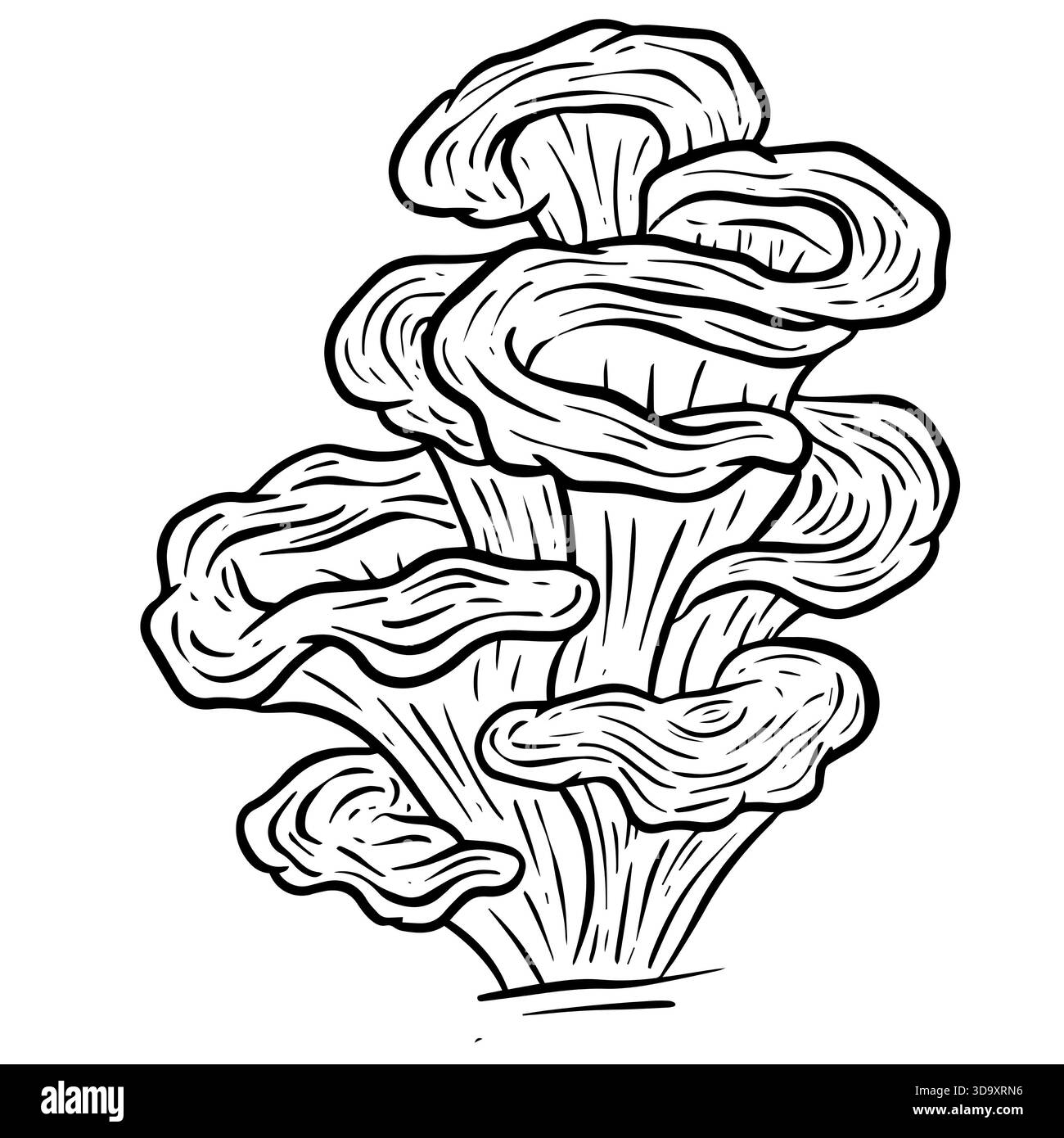 Fall fungi toadstool autumn Black and White Stock Photos & Images - Alamy