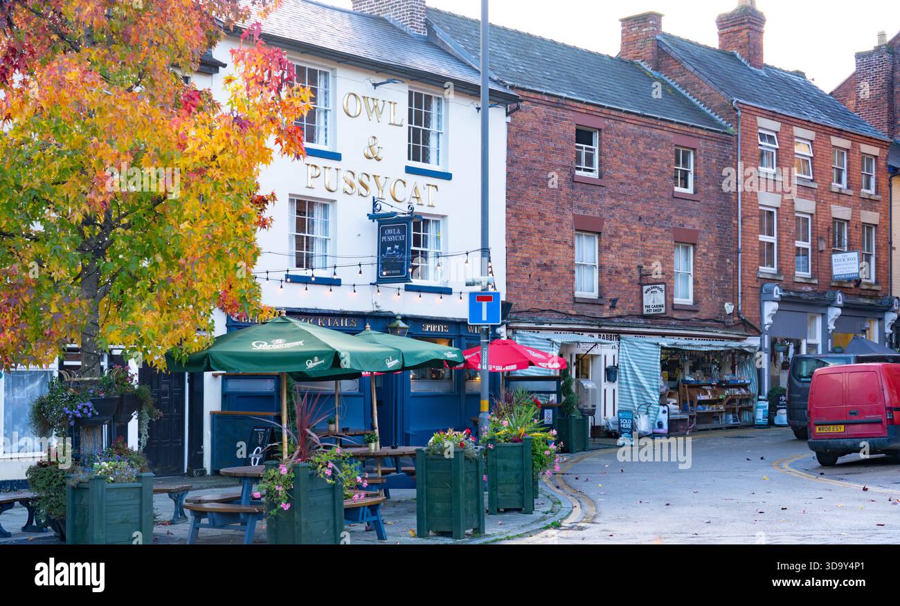 The Owl and Pussycat Pub, 7 Hall Street, Welshpool, Powys, Wales ...