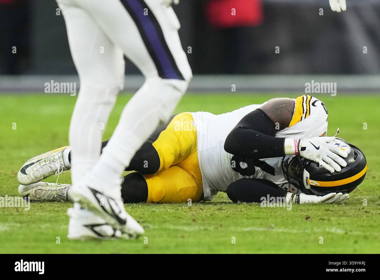 Pittsburgh Steelers linebacker Patrick Queen reacts after an injury ...