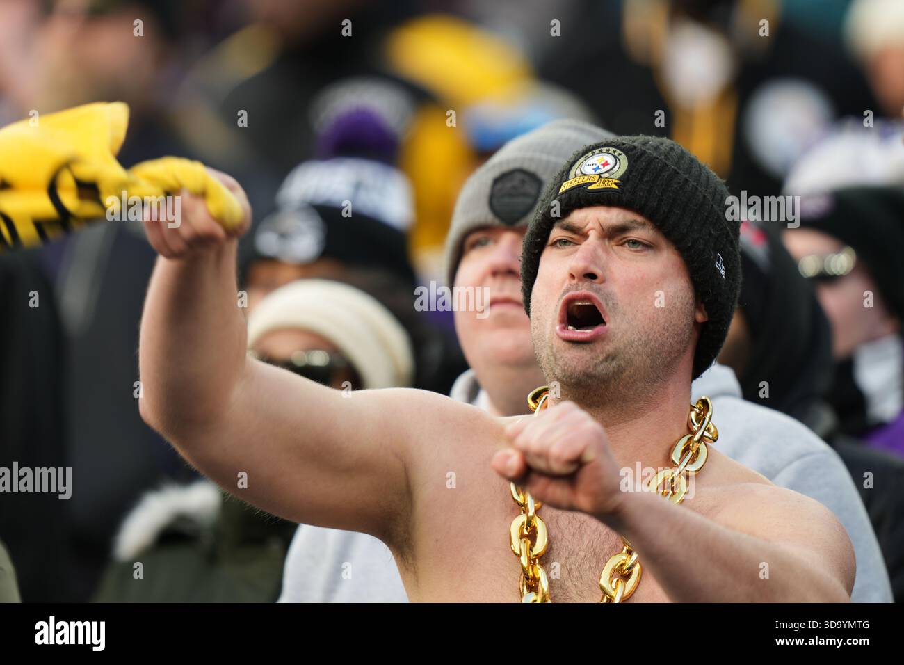 A Pittsburgh Steelers fan cheers during the second half of an NFL ...