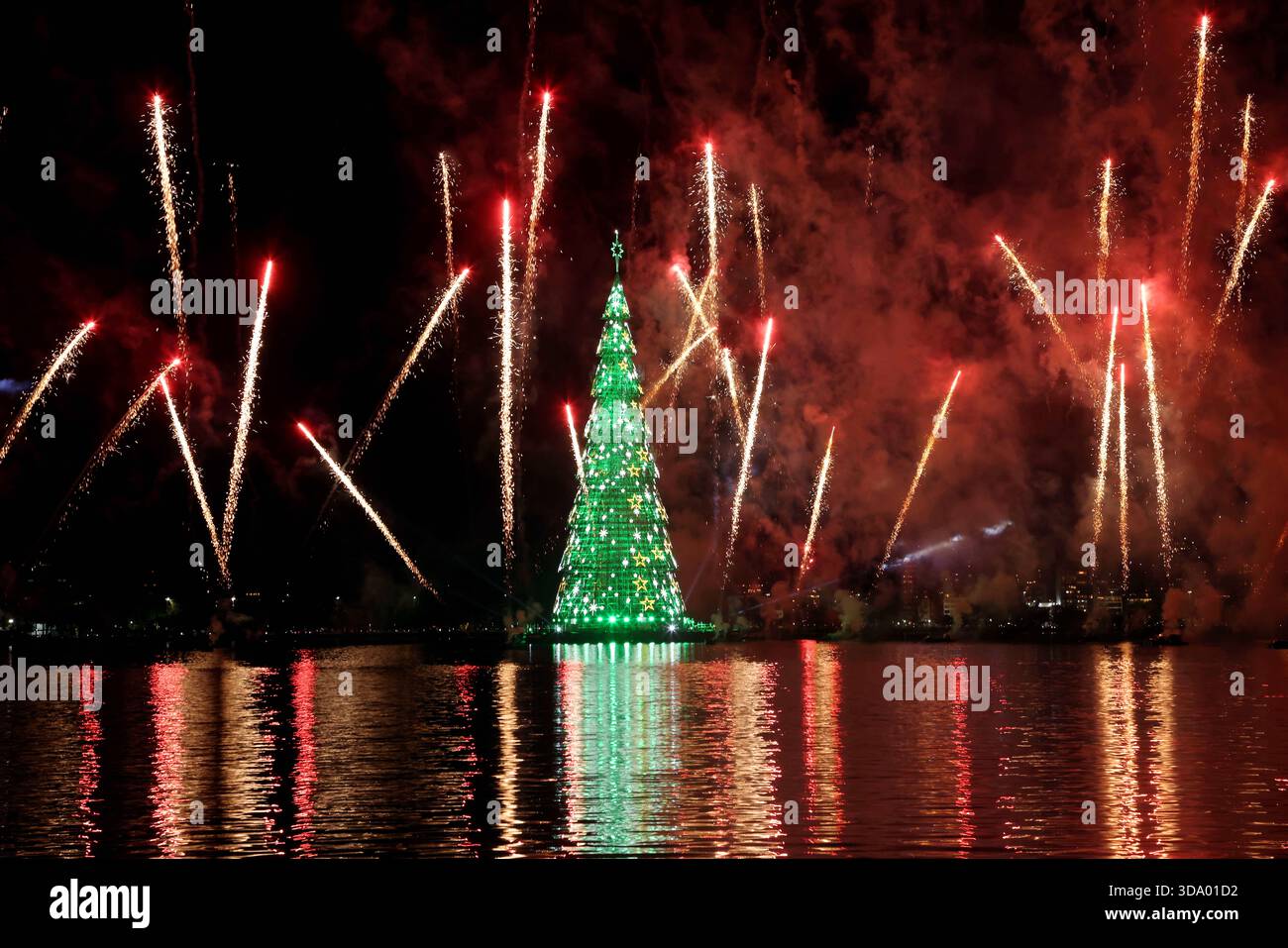 December 6, 2025, Rio De Janeiro, Rio De Janeiro, Brazil: The Arvore do ...