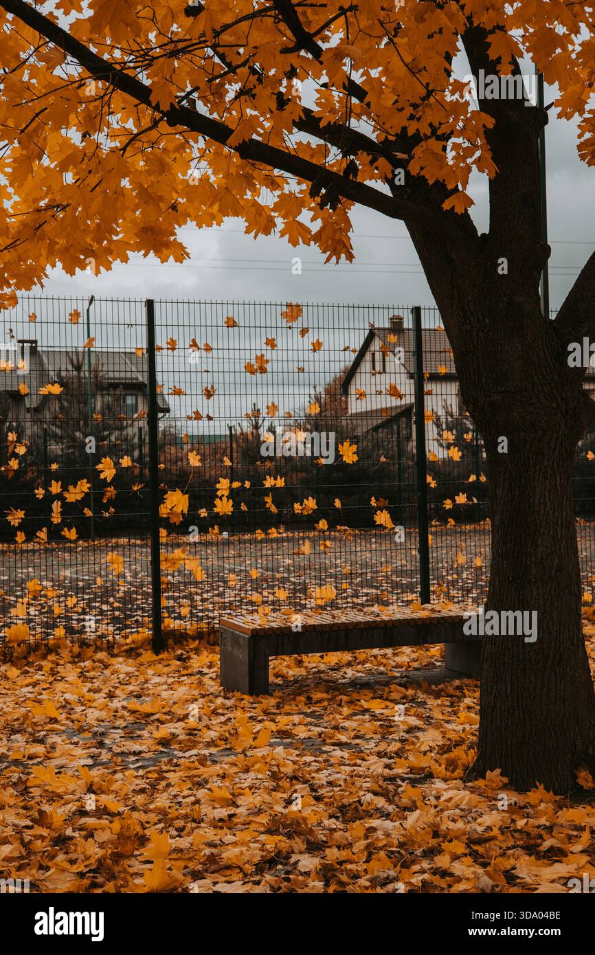 Yellow falling leaves from residential hi-res stock photography and ...