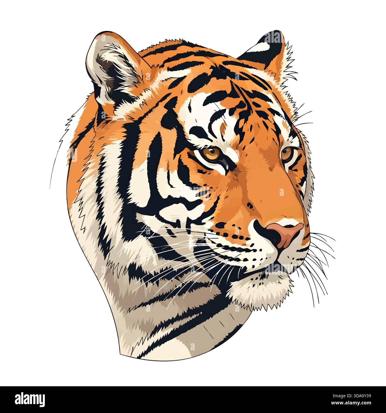 Majestic Tiger Head Portrait Wild Animal Illustration Stock Vector ...