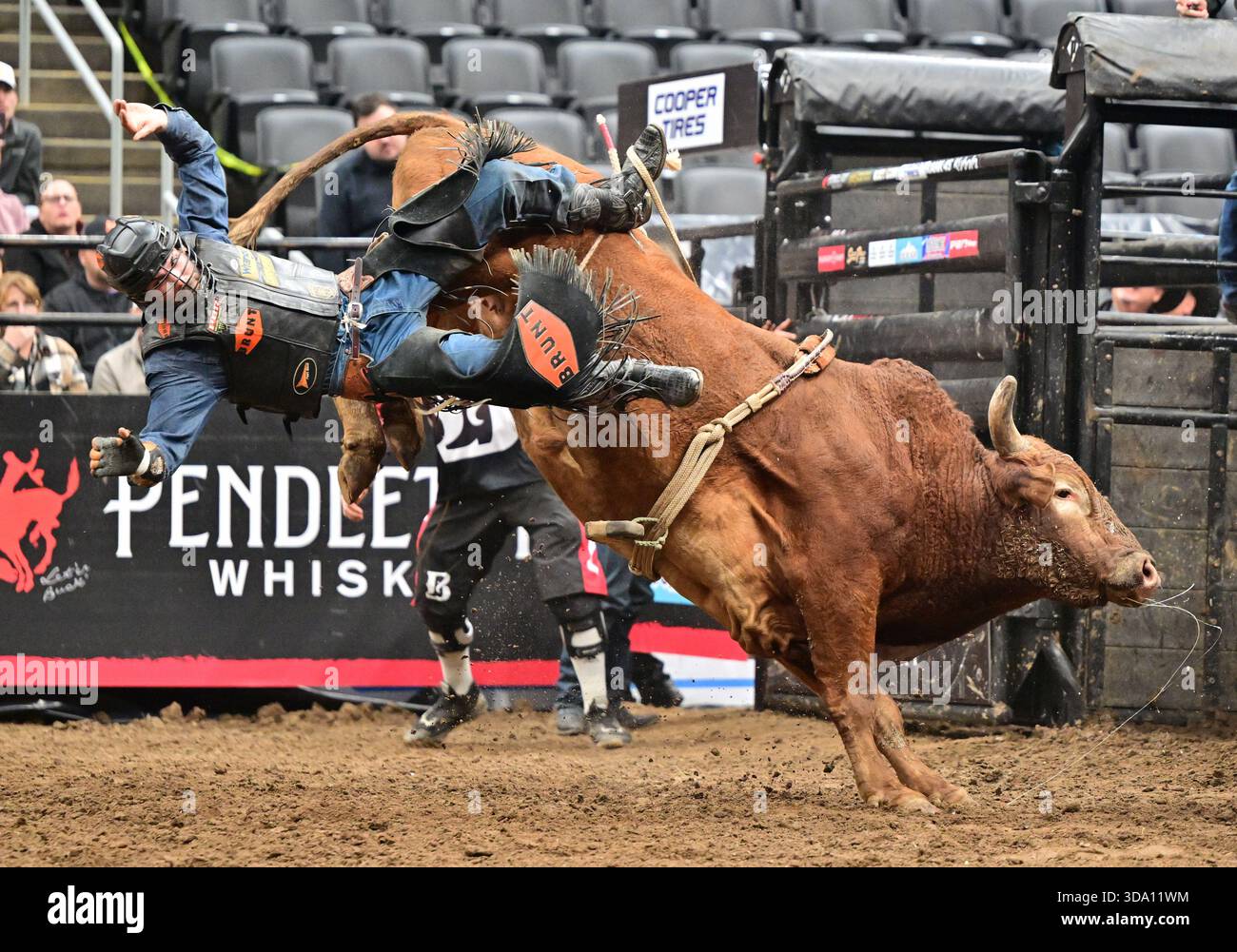 ST. LOUIS, IA - DECEMBER 07: Bullrider Eli Vastbinder loses his grip on ...