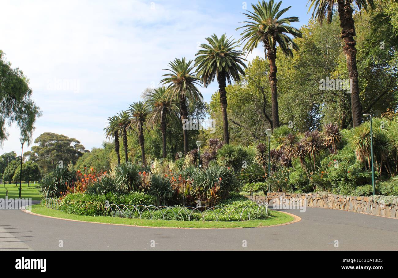 Palm trees, various shrubs and flowering plants at the Alexandra ...