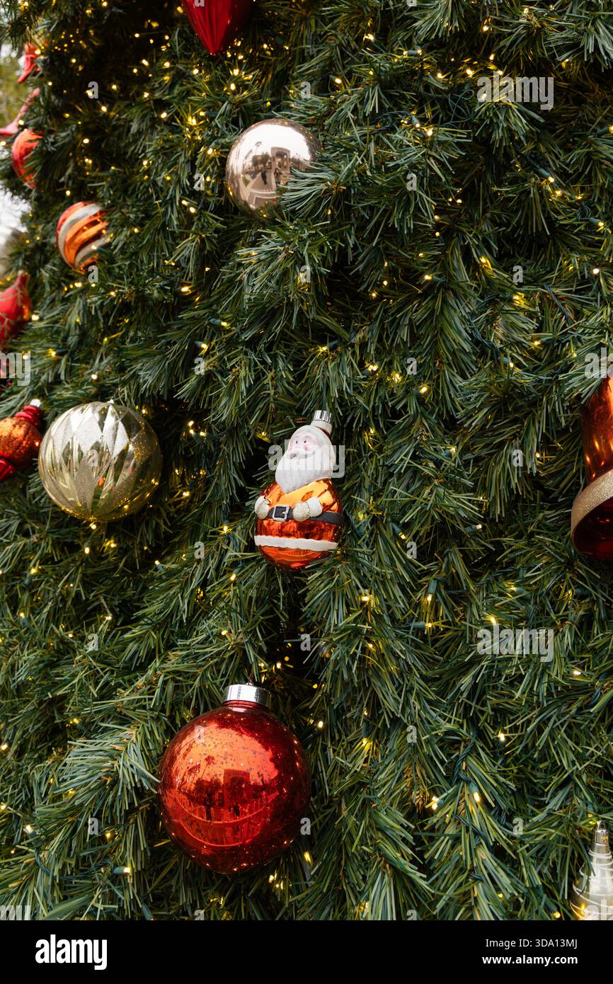Red spruce tree stands hi-res stock photography and images - Alamy
