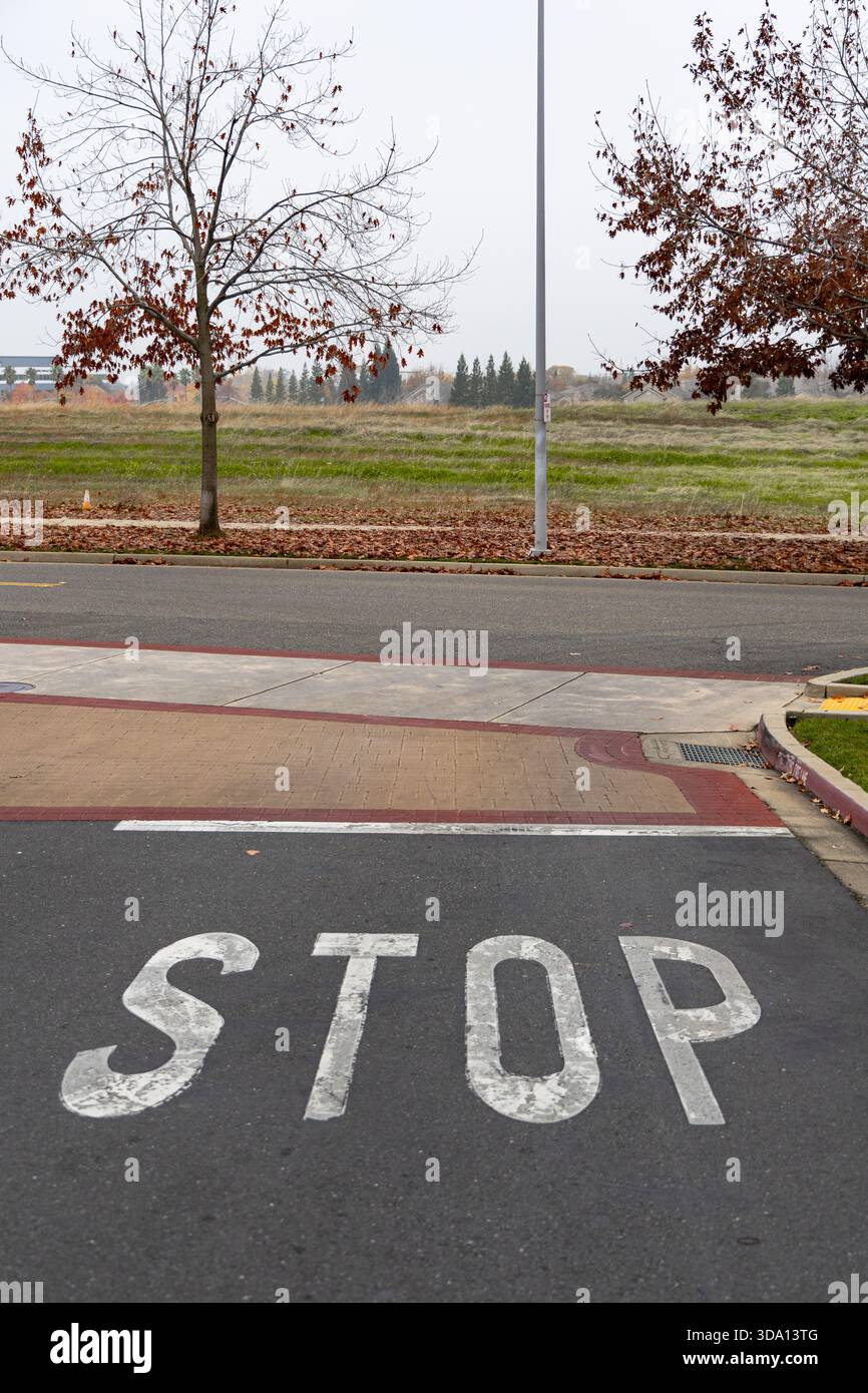 A stop sign is marked on the asphalt near the road in a quiet area ...