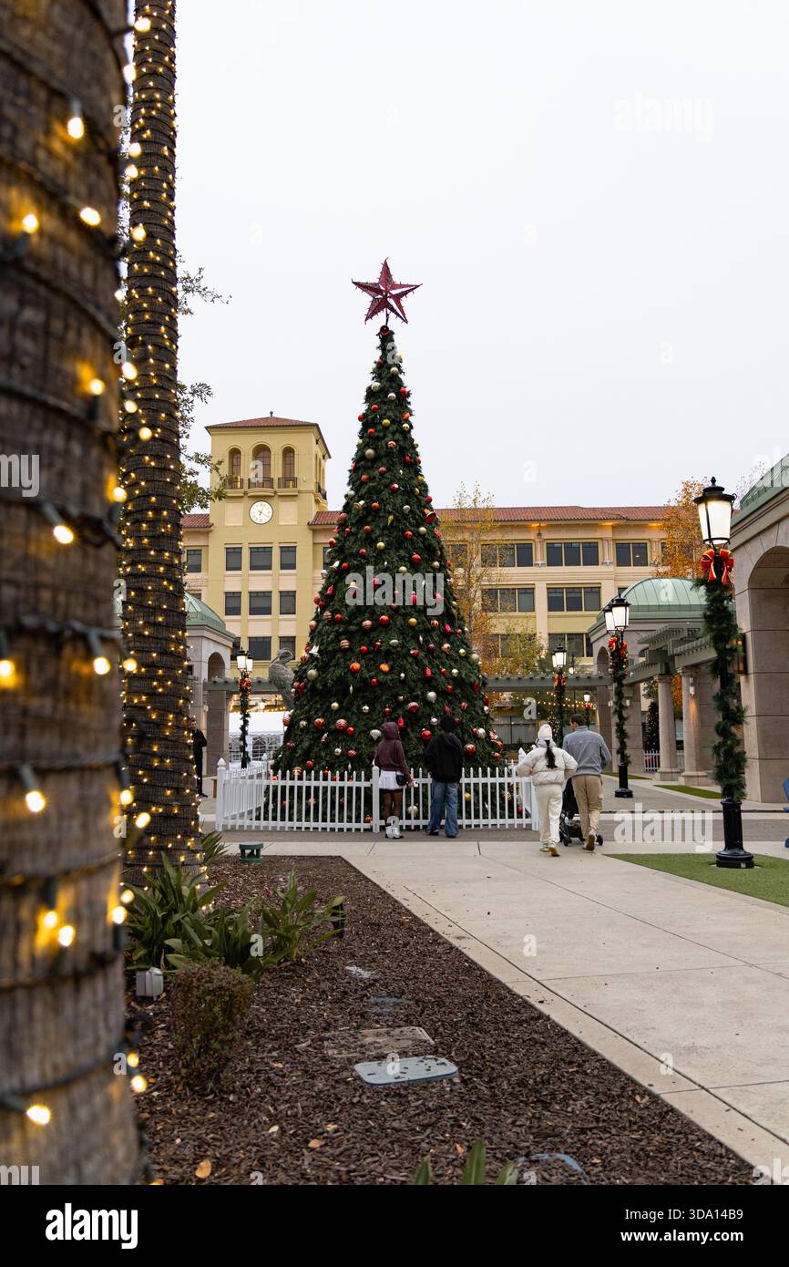 People gather around a large Christmas tree in a plaza. The tree is ...