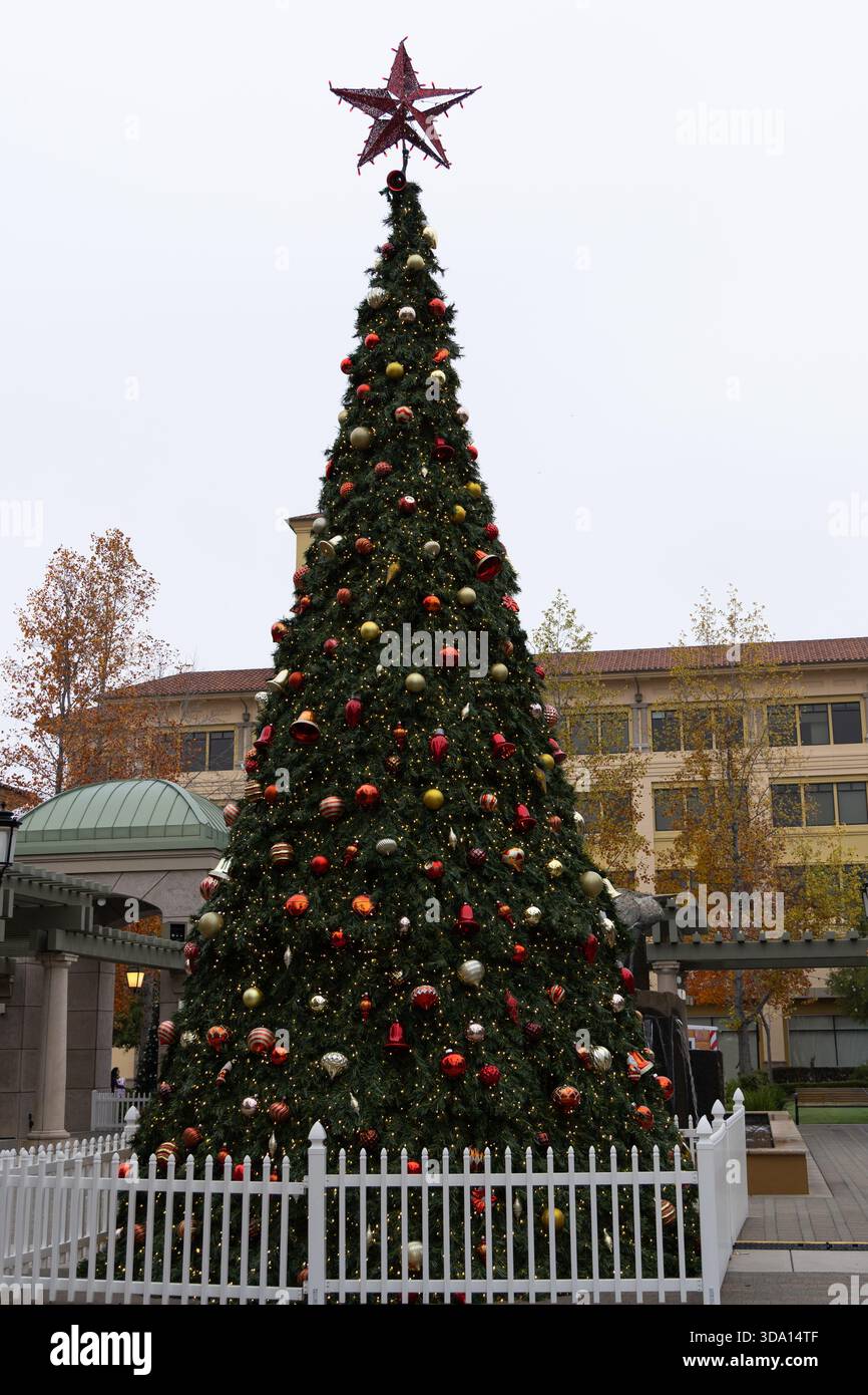 A large Christmas tree is set up in a city square. The tree has ...
