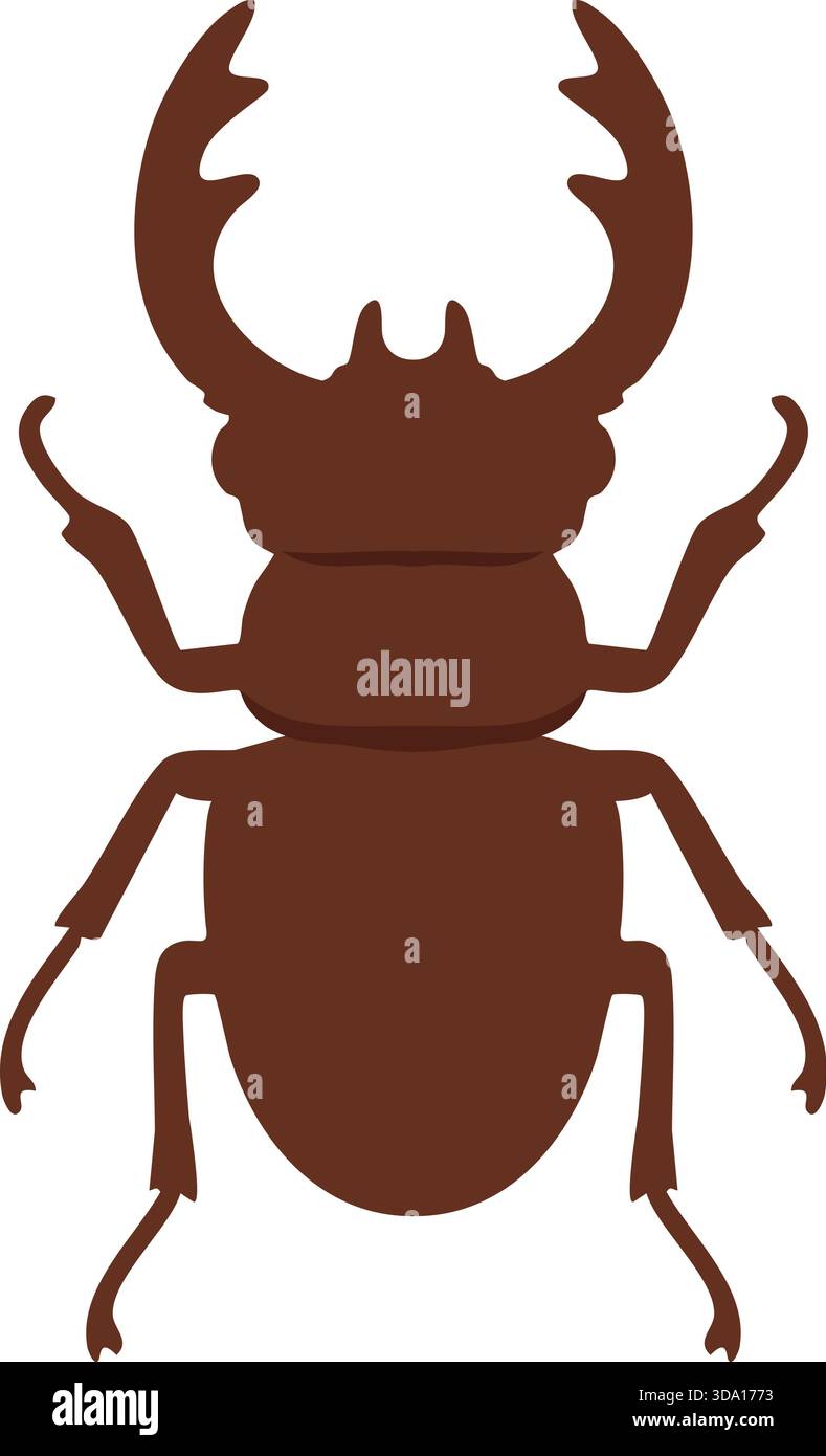 Robust brown stag beetle with large curved mandibles displayed from ...