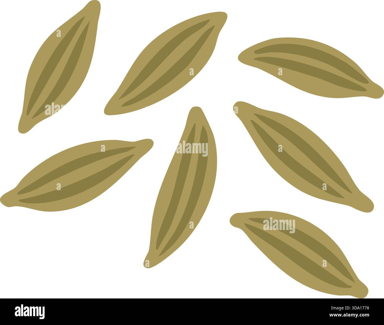 Much elongated Stock Vector Images - Alamy