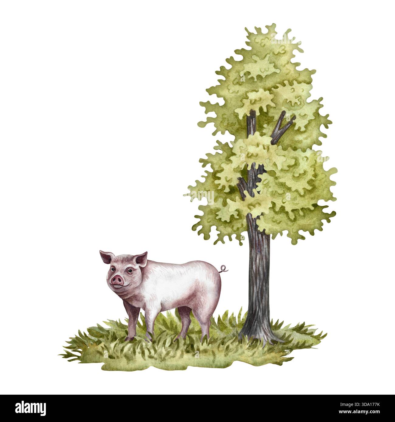 Pig colorful pork in Cut Out Stock Images & Pictures - Alamy